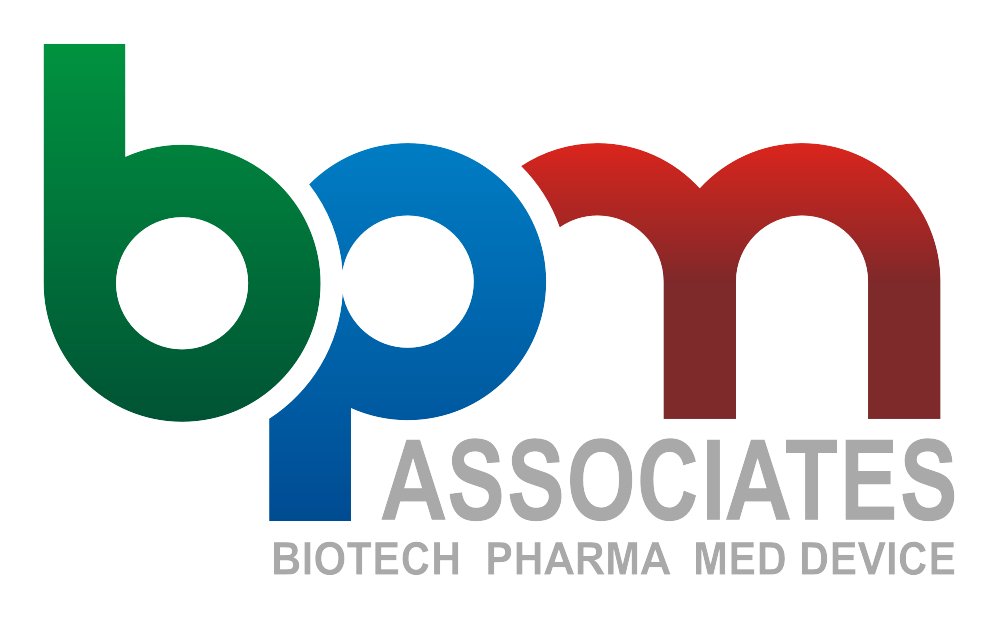 BPM: From Dream to Reality - Unveiling Our Journey - BPM Associates